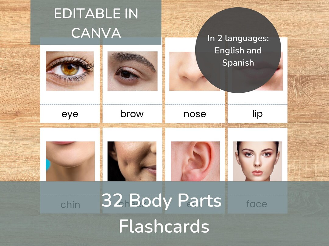 Body Parts Flash Cards, Montessori Materials, Real Pictures, Homeschool ...