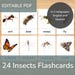 Insects Flash Cards, Montessori Cards, Real Pictures, Preschool Toys ...