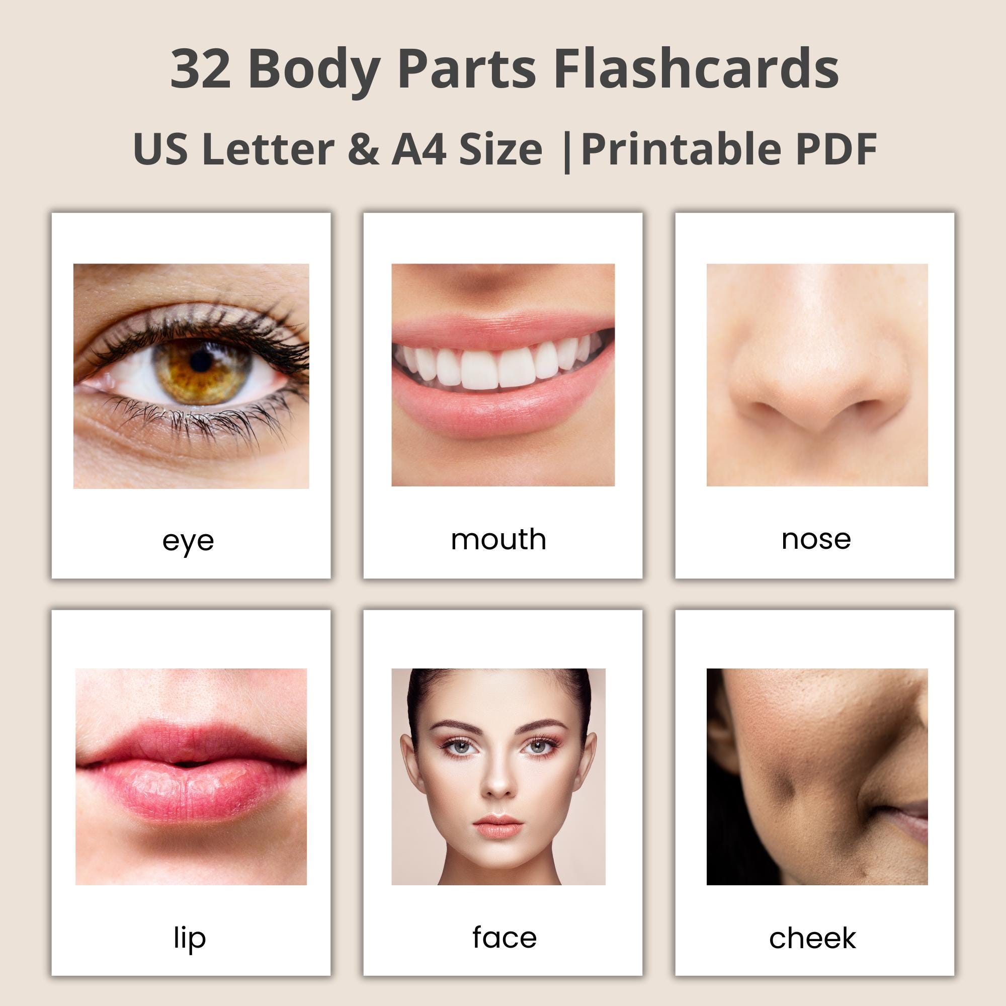 Body Parts Flashcards: Montessori Learning, Printable, Digital, Instant ...