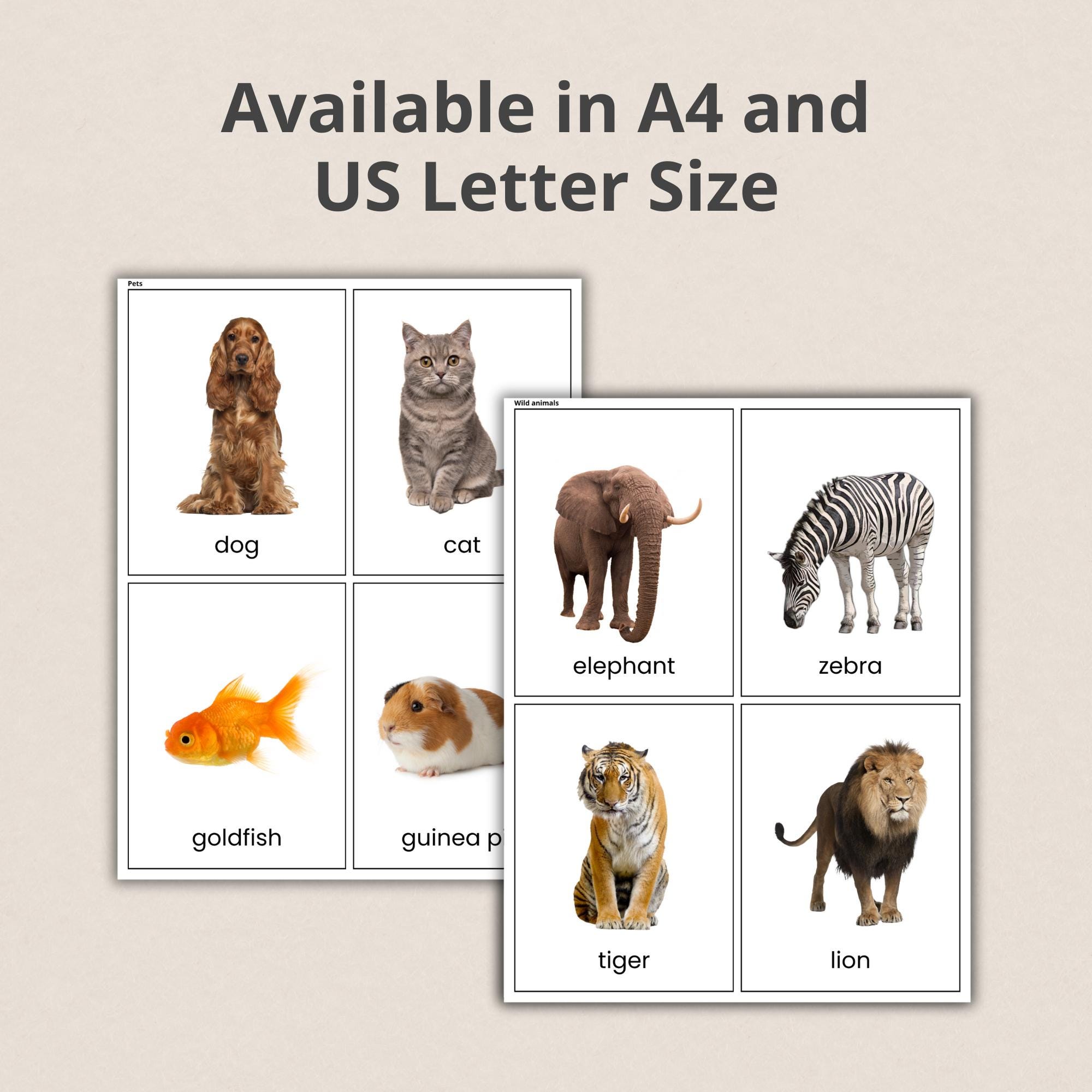First 100 Animal Flashcards: Montessori, Zoo Animal Flashcards, Pet ...