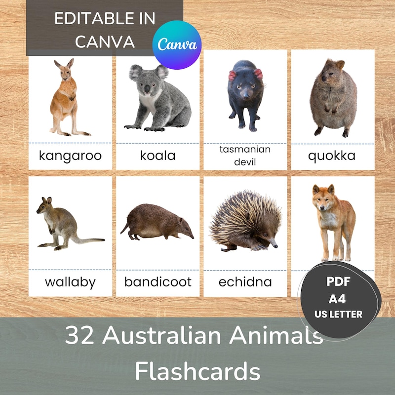 Australian Animal - Etsy