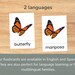 Insects Flash Cards, Montessori Cards, Real Pictures, Preschool Toys ...