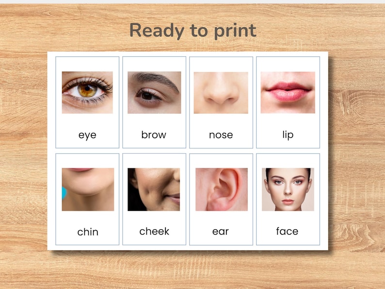 Body Parts Flash Cards, Montessori Materials, Real Pictures, Homeschool ...