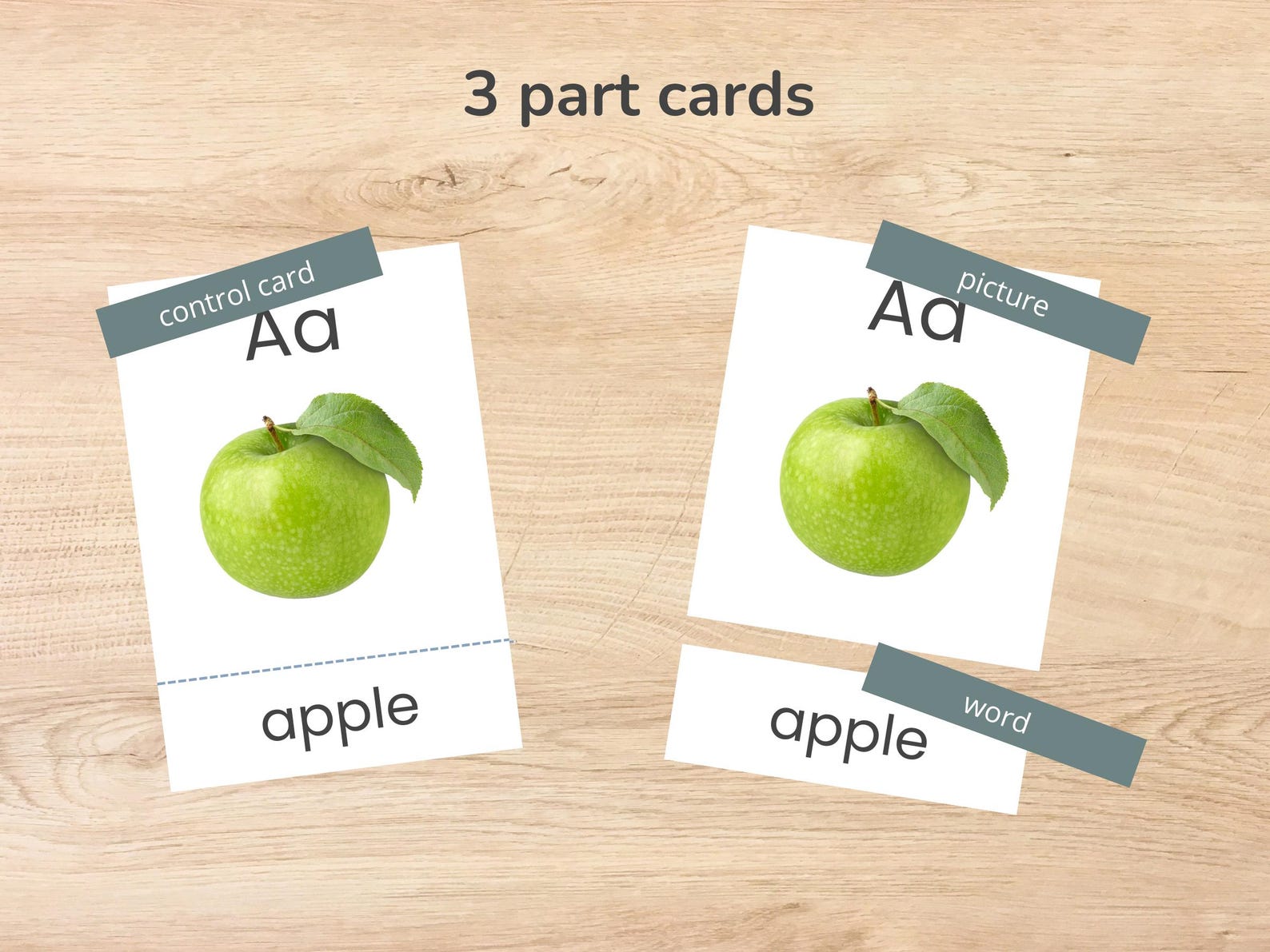 Alphabet Flashcards, Real Images, Homeschool Printables in English ...