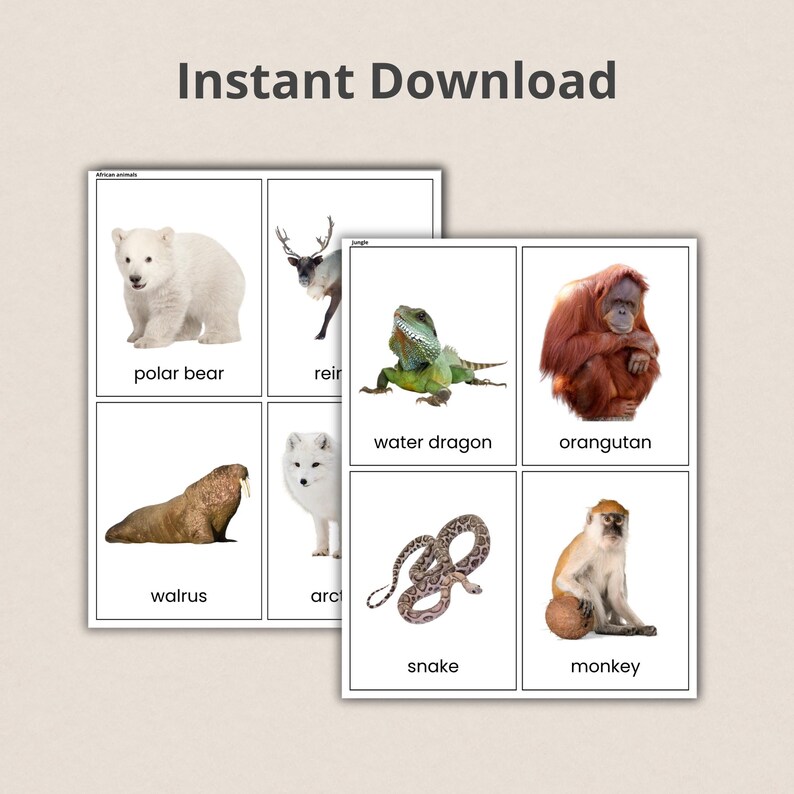 First 100 Animal Flashcards: Montessori, Zoo Animal Flashcards, Pet ...