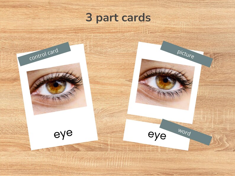 Body Parts Flash Cards, Montessori Materials, Real Pictures, Homeschool ...