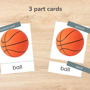 Color Flashcards, Real Images, Card Sorting, Homeschool Printables in ...