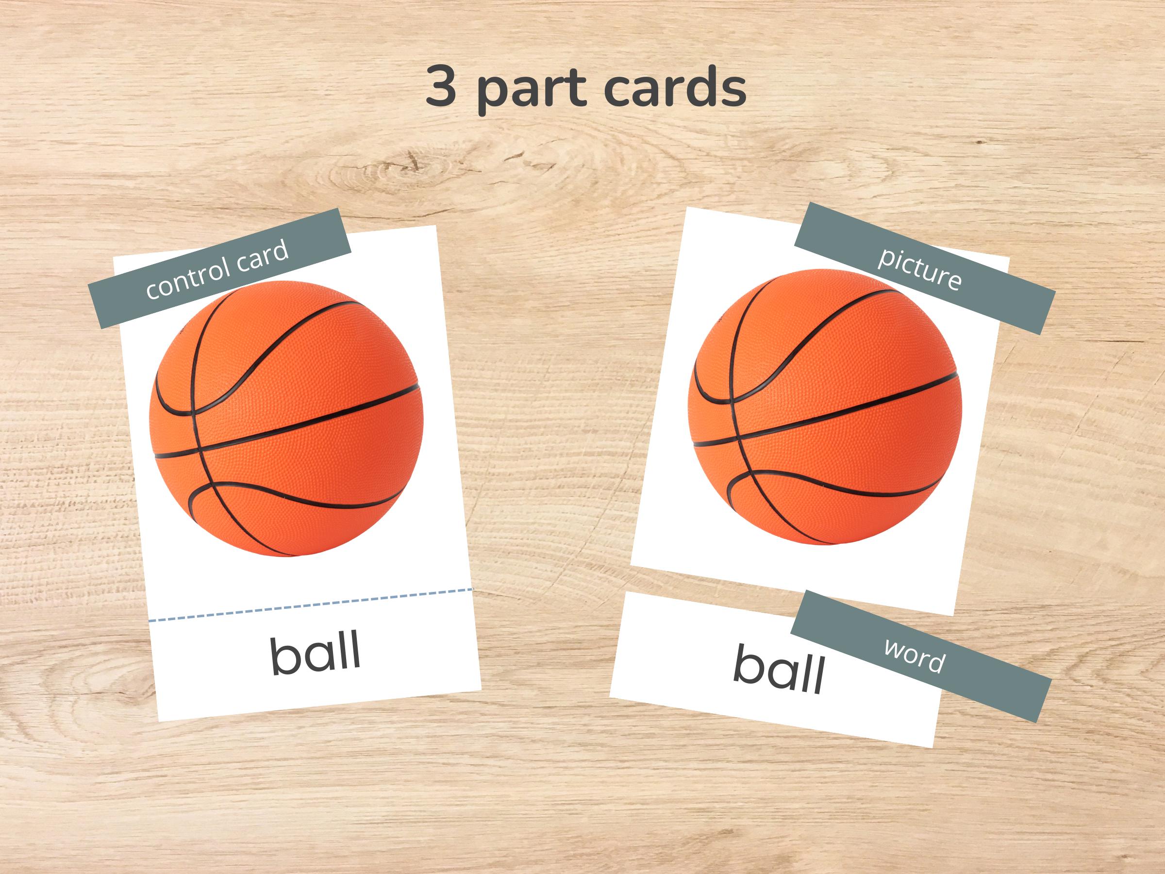 Color Flashcards, Real Images, Card Sorting, Homeschool Printables in ...