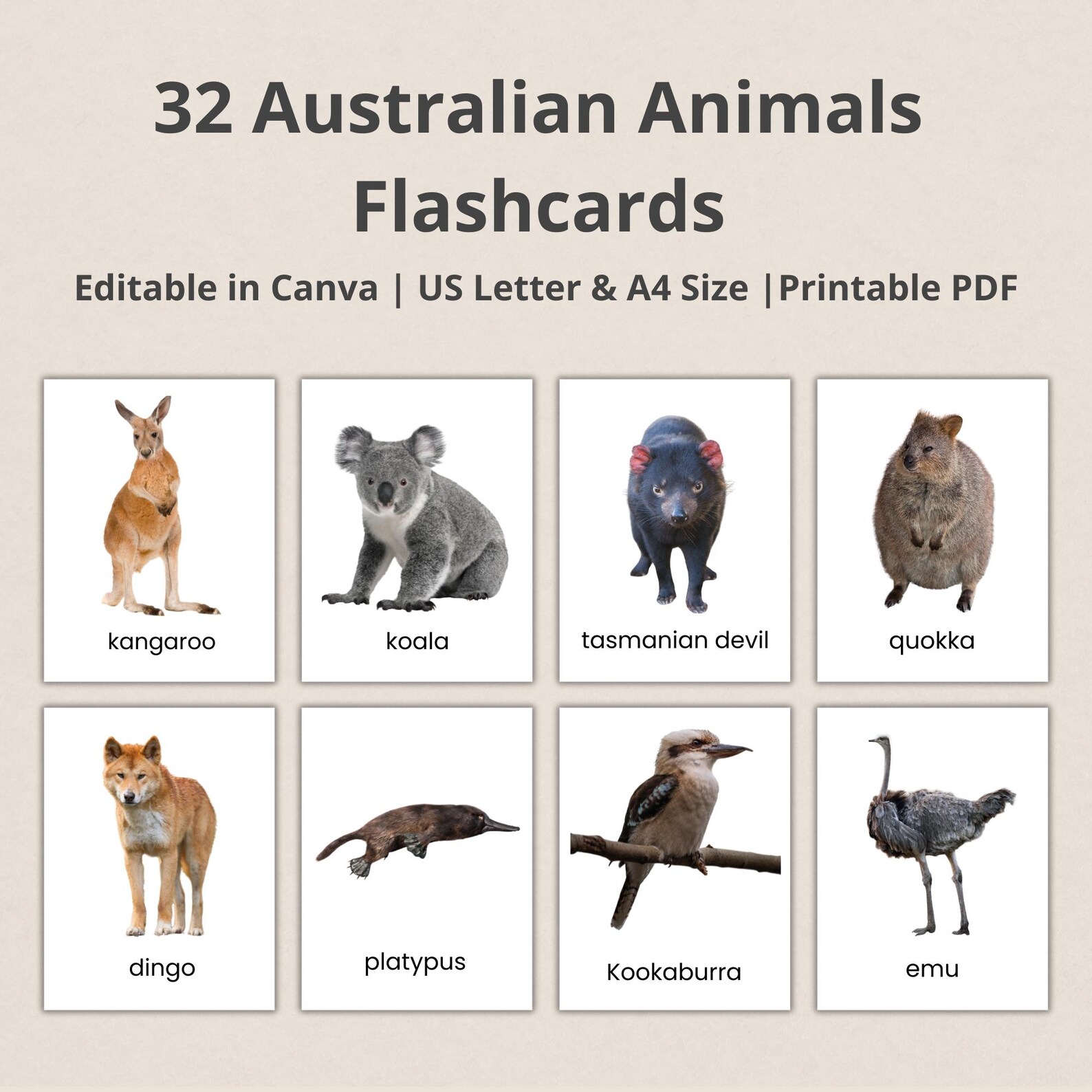 Australian Animals Flashcards: Montessori Cards, Real Images (PDF ...