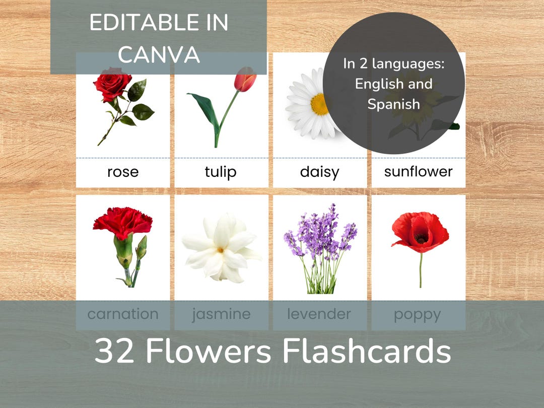 Flowers Flash Cards, Montessori, Real Pictures, Homeschool Flashcards ...