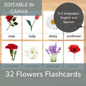Flowers Flash Cards, Montessori, Real Pictures, Homeschool Flashcards ...