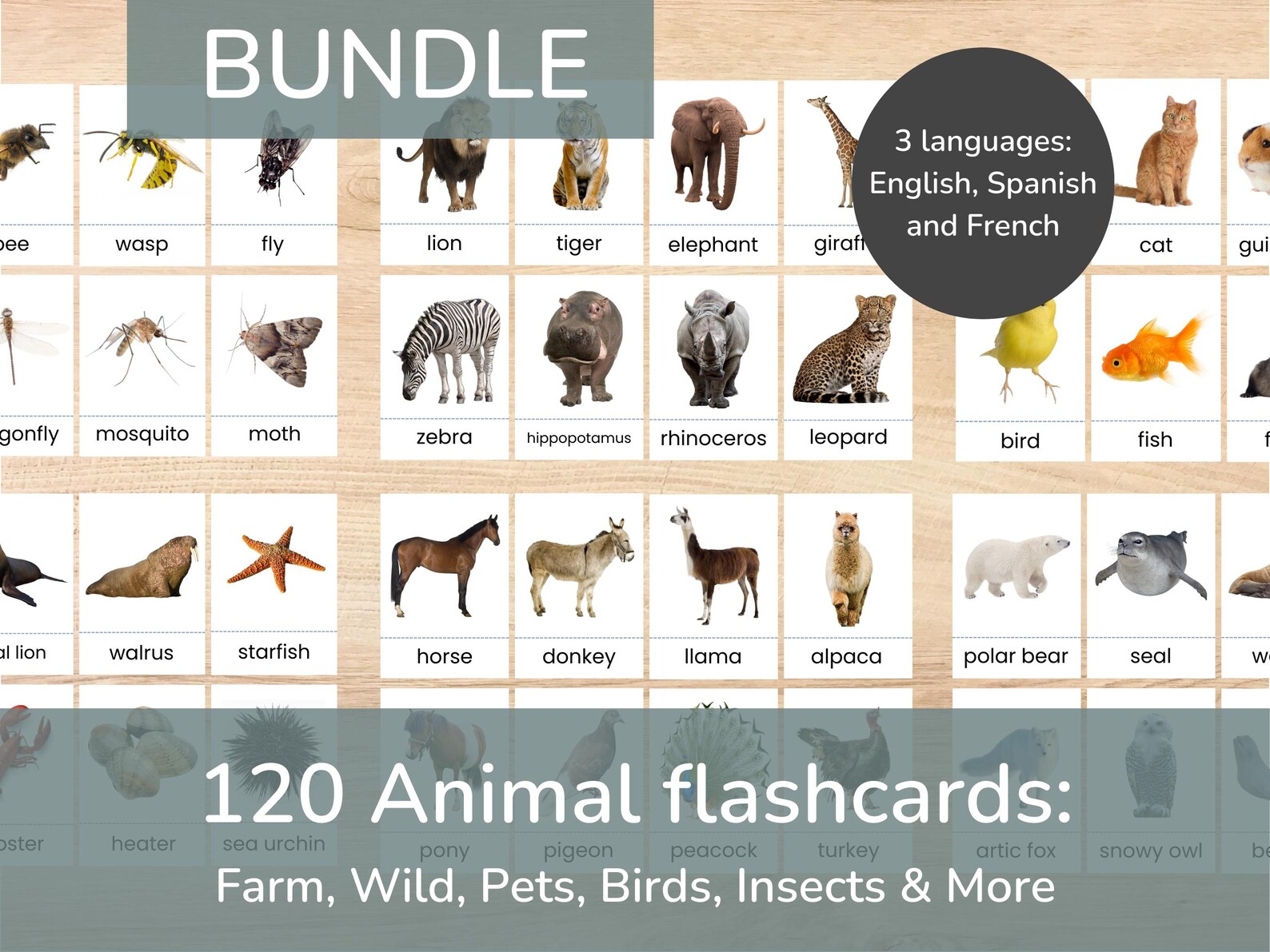 Animal Flashcard Bundle, Montessori, Real Pictures, Vocabulary Pictures ...