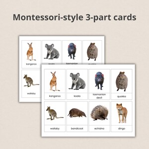 Australian Animals Flashcards: Montessori Cards, Real Images (PDF ...