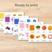 Color Flashcards, Real Images, Card Sorting, Homeschool Printables in ...