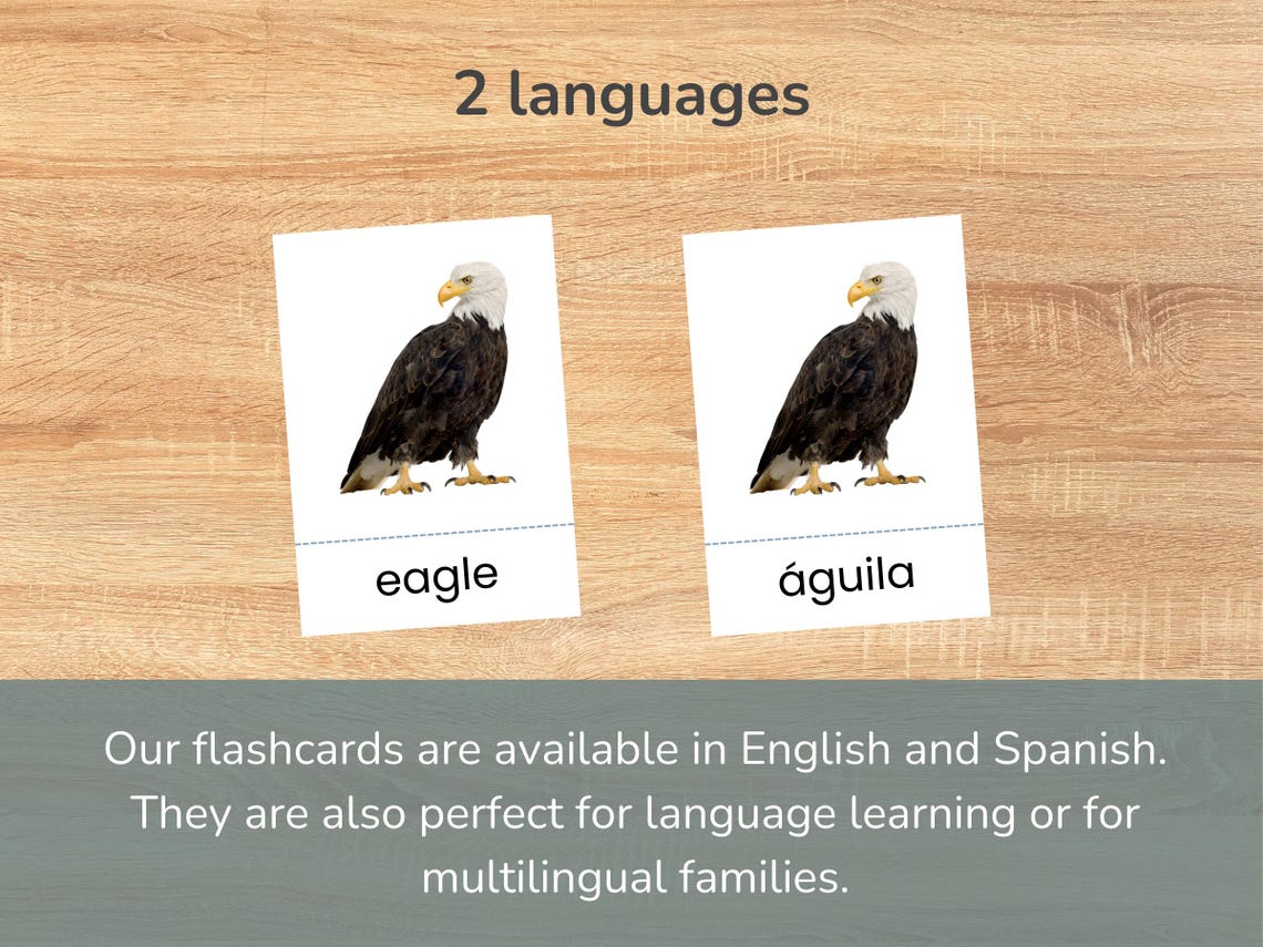 Bird Flash Cards, Montessori Materials, Real Pictures, Homeschool ...