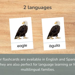Bird Flash Cards, Montessori Materials, Real Pictures, Homeschool ...