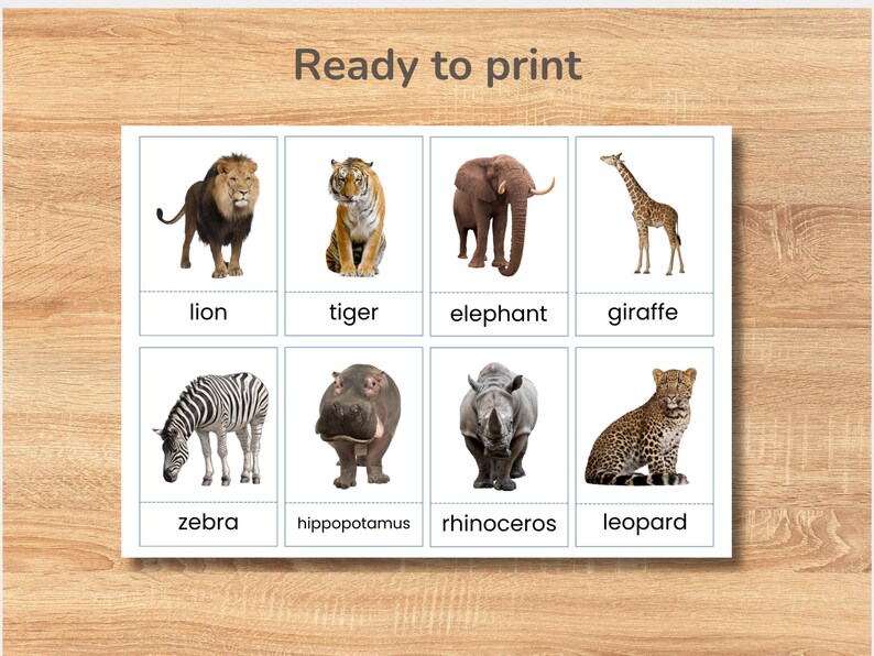 Editable Animal Flashcards Bundle: English & Spanish, Montessori Cards ...