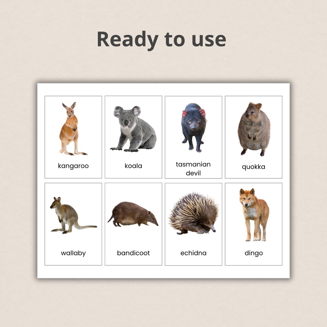 Australian Animals Flashcards: Montessori Cards, Real Images (PDF ...