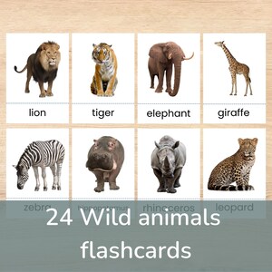 Wild Animals Flash Cards, Real Images, Homeschool Printables in English ...