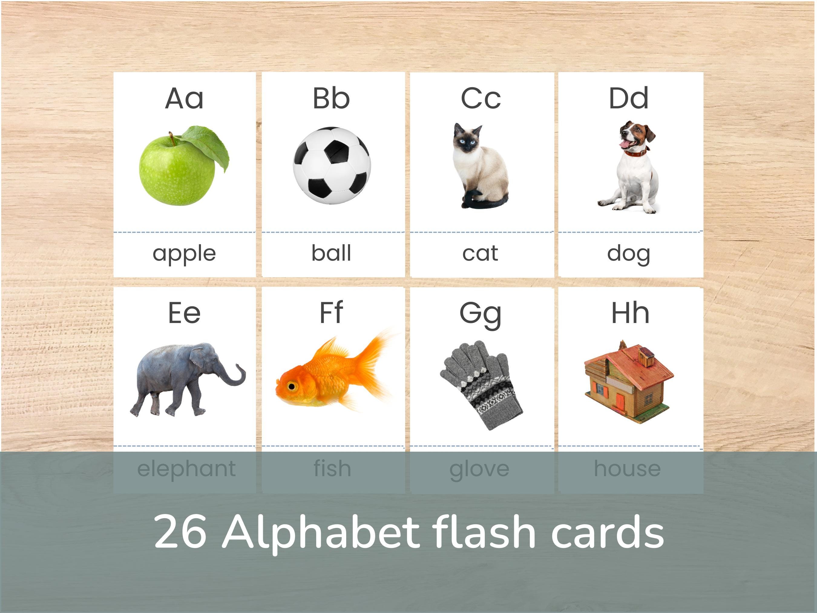 Alphabet Flashcards, Real Images, Homeschool Printables in English ...