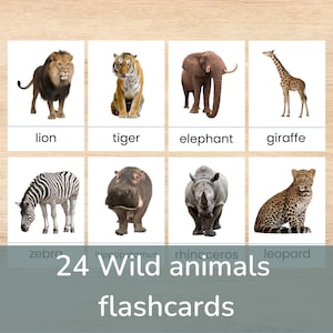 Animal Flashcard Bundle, Montessori, Real Pictures, Vocabulary Pictures ...