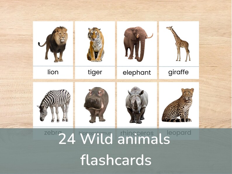 Animal Flashcard Bundle, Montessori, Real Pictures, Vocabulary Pictures ...