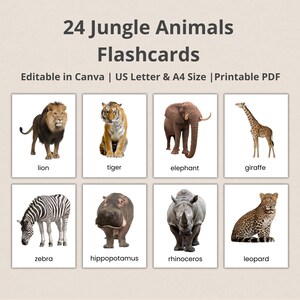 Jungle Animals Flashcards: Montessori Learning, Vocabulary (printable ...