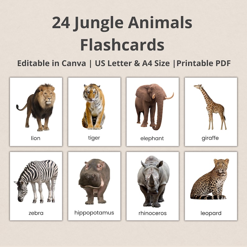 Jungle Animals Flashcards: Montessori Learning, Vocabulary (printable ...