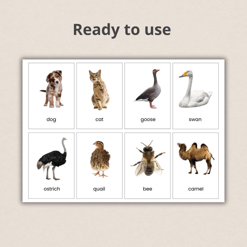 Pets Flashcards: Montessori 3-part Cards, Editable Canva Template (PDF ...