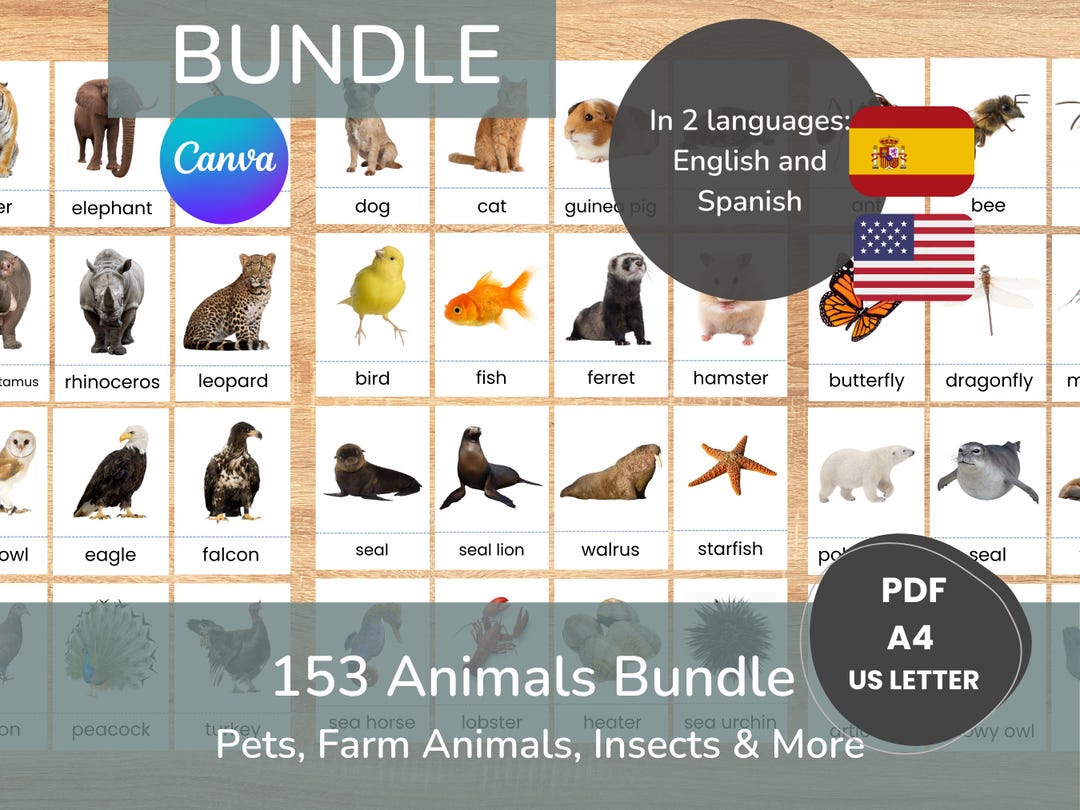 ANIMALS Bundle Flash Cards, Real Pictures, Montessori Cards in English ...