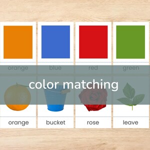 Color Flashcards, Real Images, Card Sorting, Homeschool Printables in ...