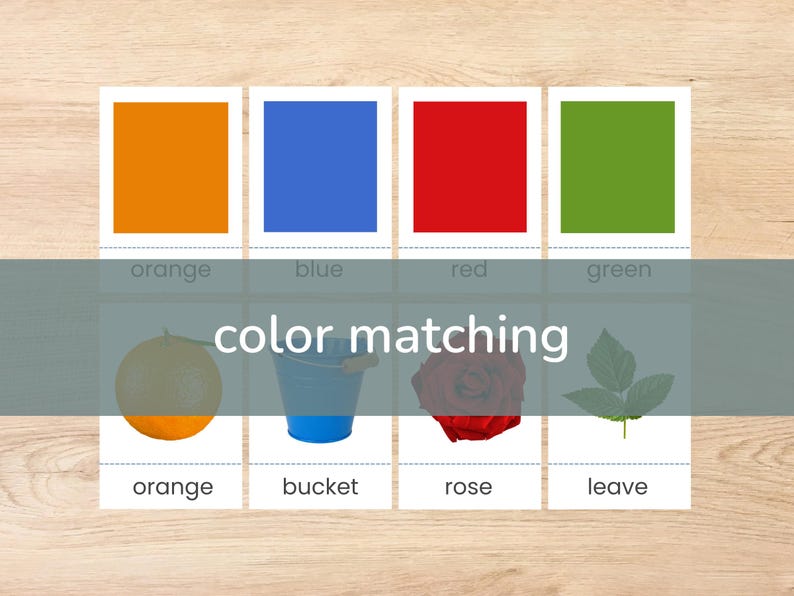Color Flashcards, Real Images, Card Sorting, Homeschool Printables in ...