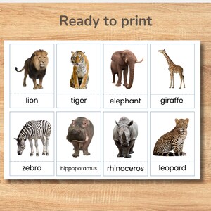 Wild Animals Flash Cards, Montessori, Real Pictures, Vocabulary ...