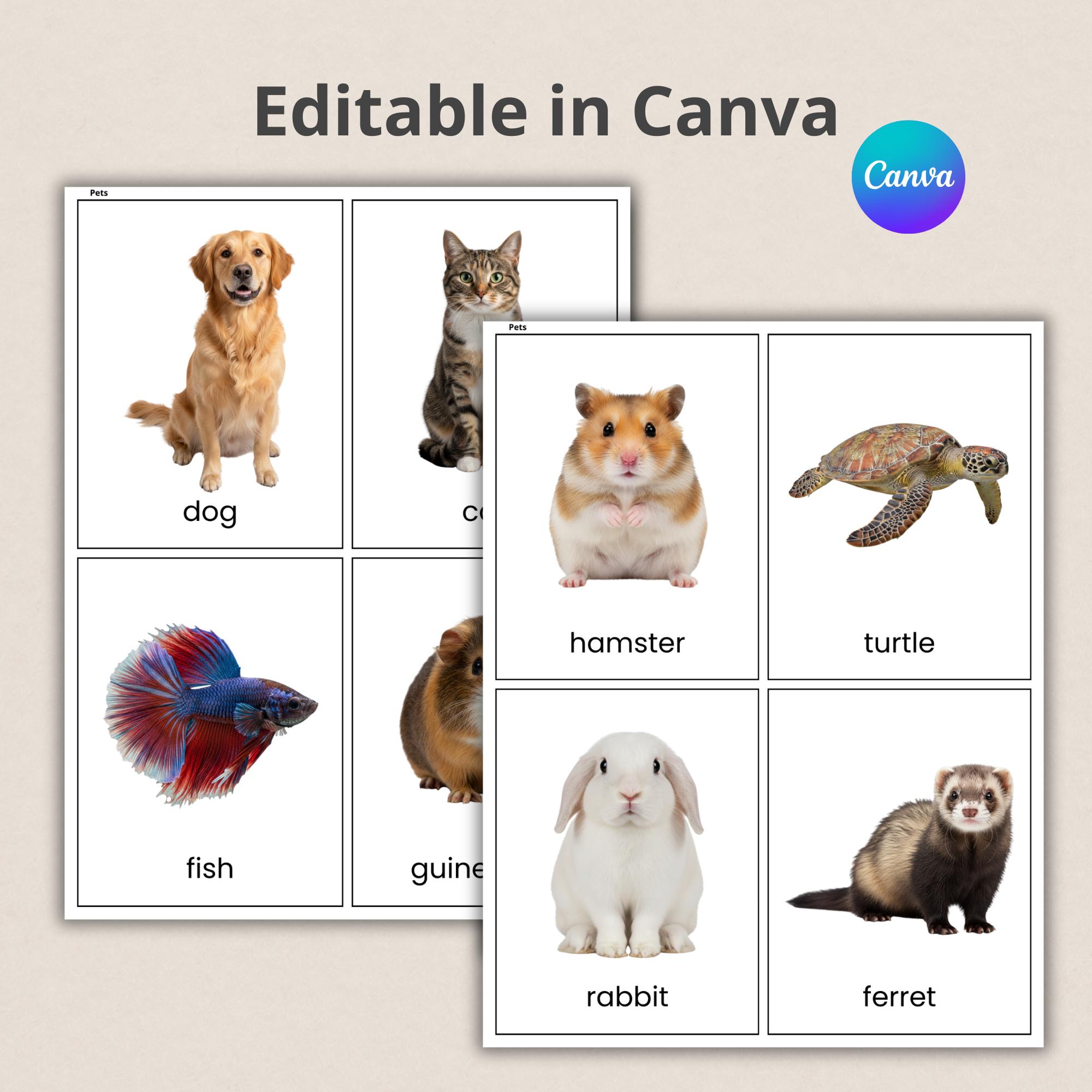 First 100 Animal Flashcards: Montessori, Zoo Animal Flashcards, Pet ...