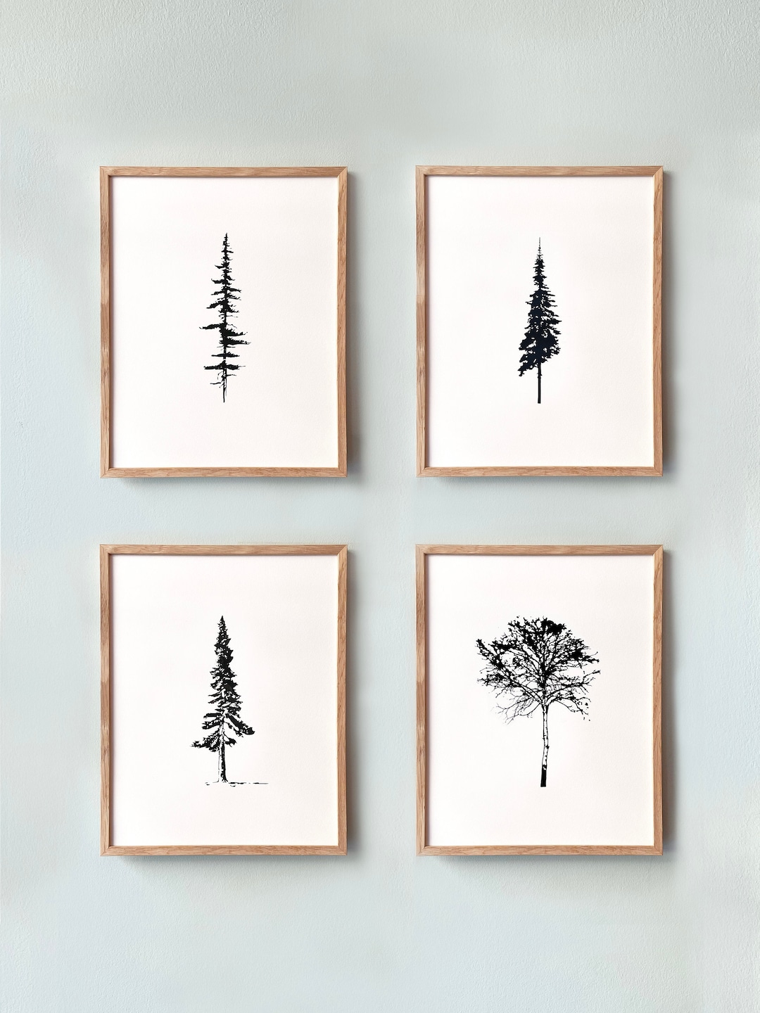 Tree Prints, Set of 4, 11 X 14 Inch Art Prints, Birch, Spruce, Pine ...