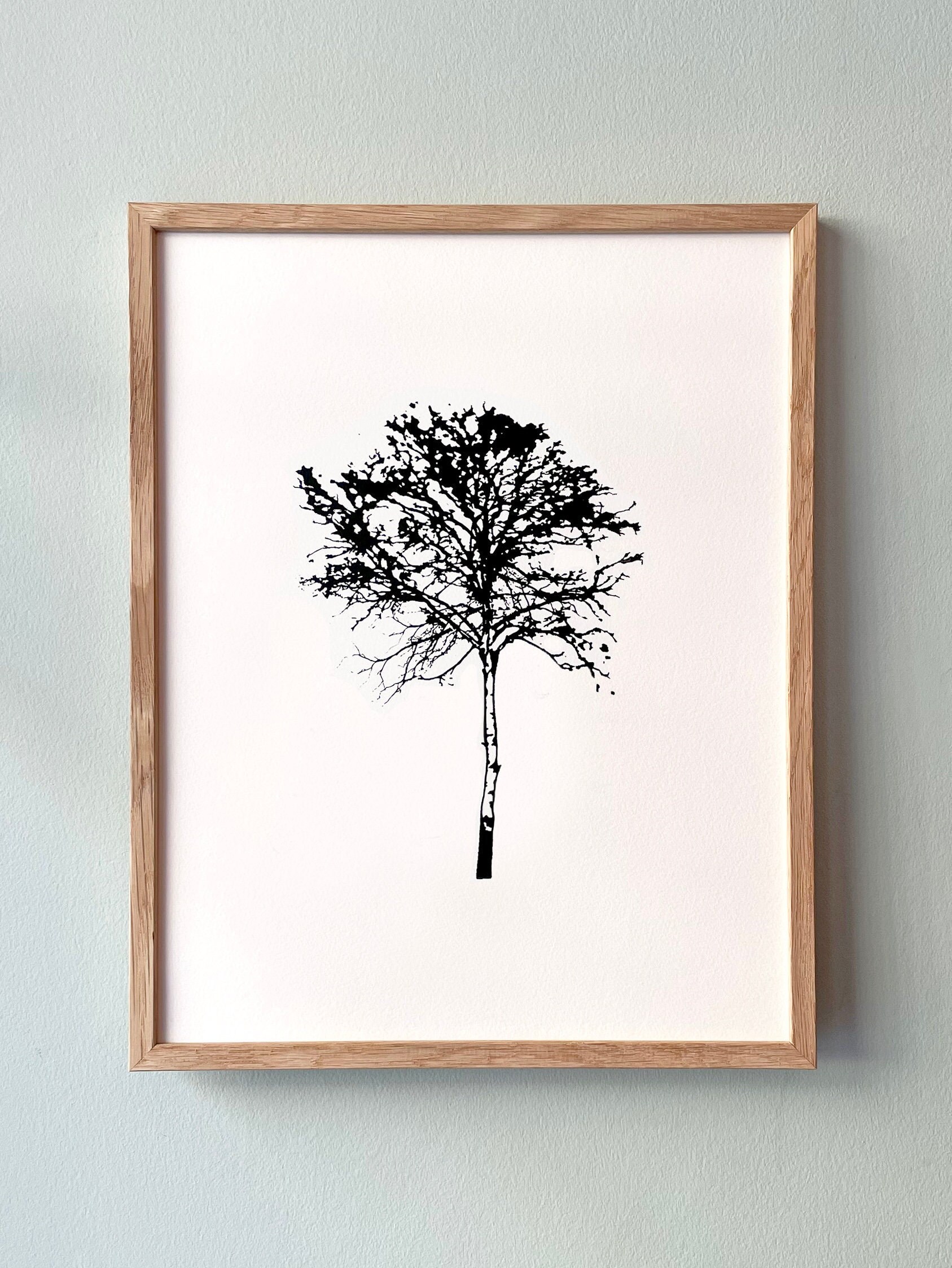 Tree Prints, Set of 4, 11 X 14 Inch Art Prints, Birch, Spruce, Pine ...