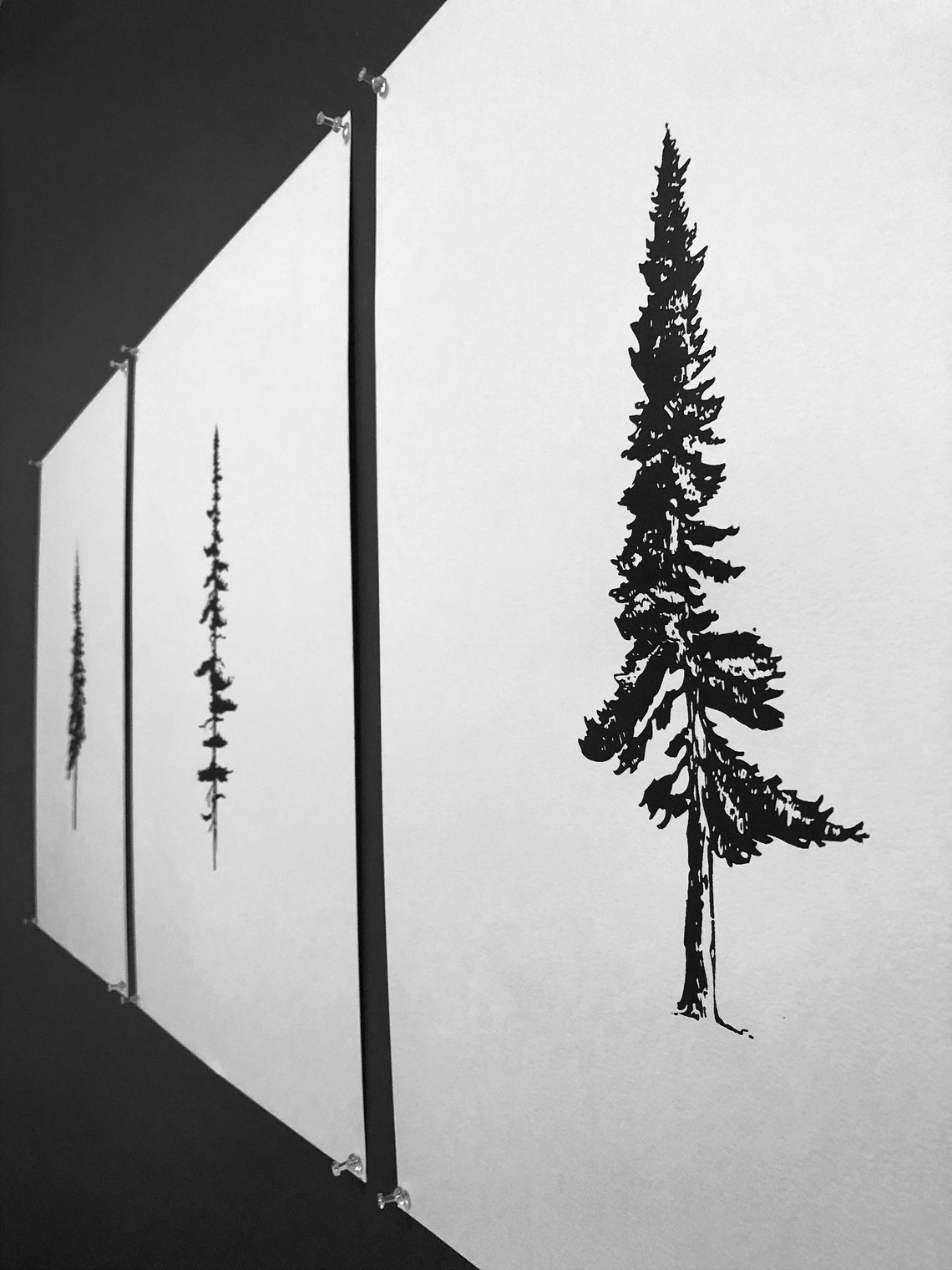 Tree Prints Trilogy Art Nature Screen Print 18 X 24 Inch - Etsy