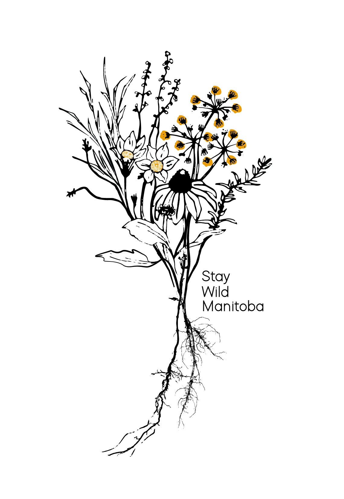 Stay Wild Manitoba, Paper Print, Screenprint, Manitoba Wild Flowers ...