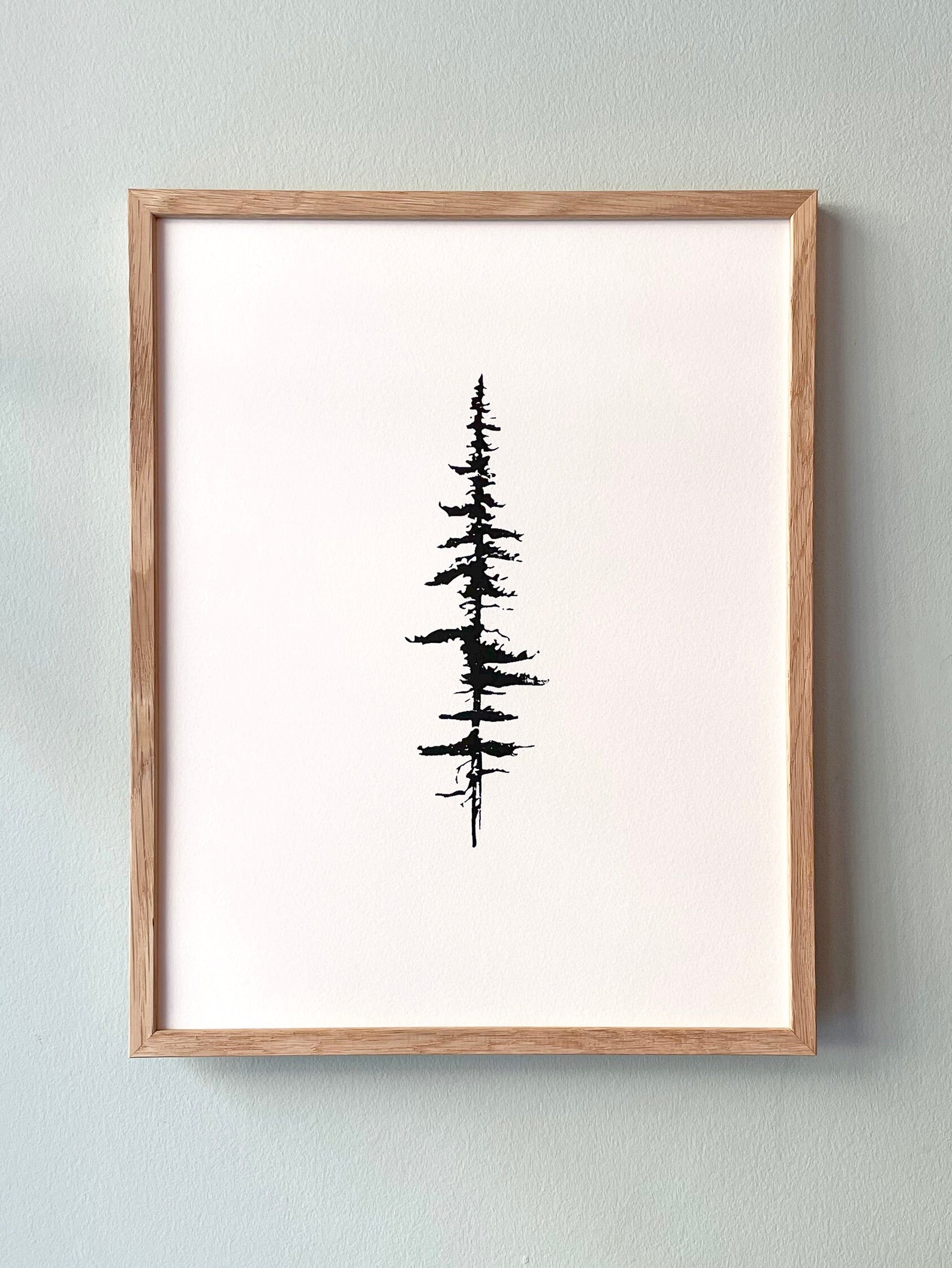 Tree Prints, Set of 4, 11 X 14 Inch Art Prints, Birch, Spruce, Pine ...