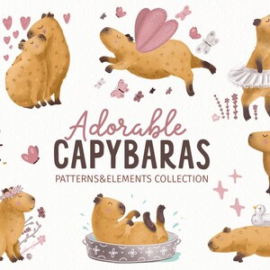 Capybara Clip Art Set | Cute Capybara Illustrations | T-shirt Prints ...