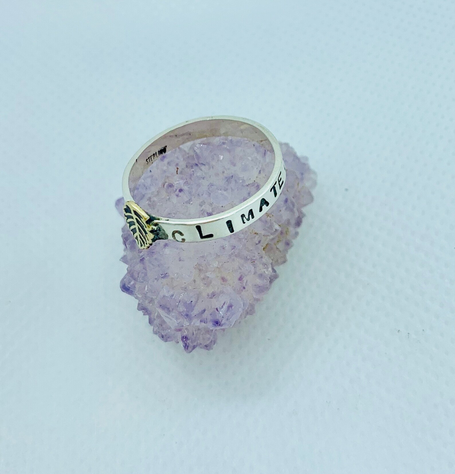 Climate Change is Real ring-Recycled sterling silver-Band | Etsy