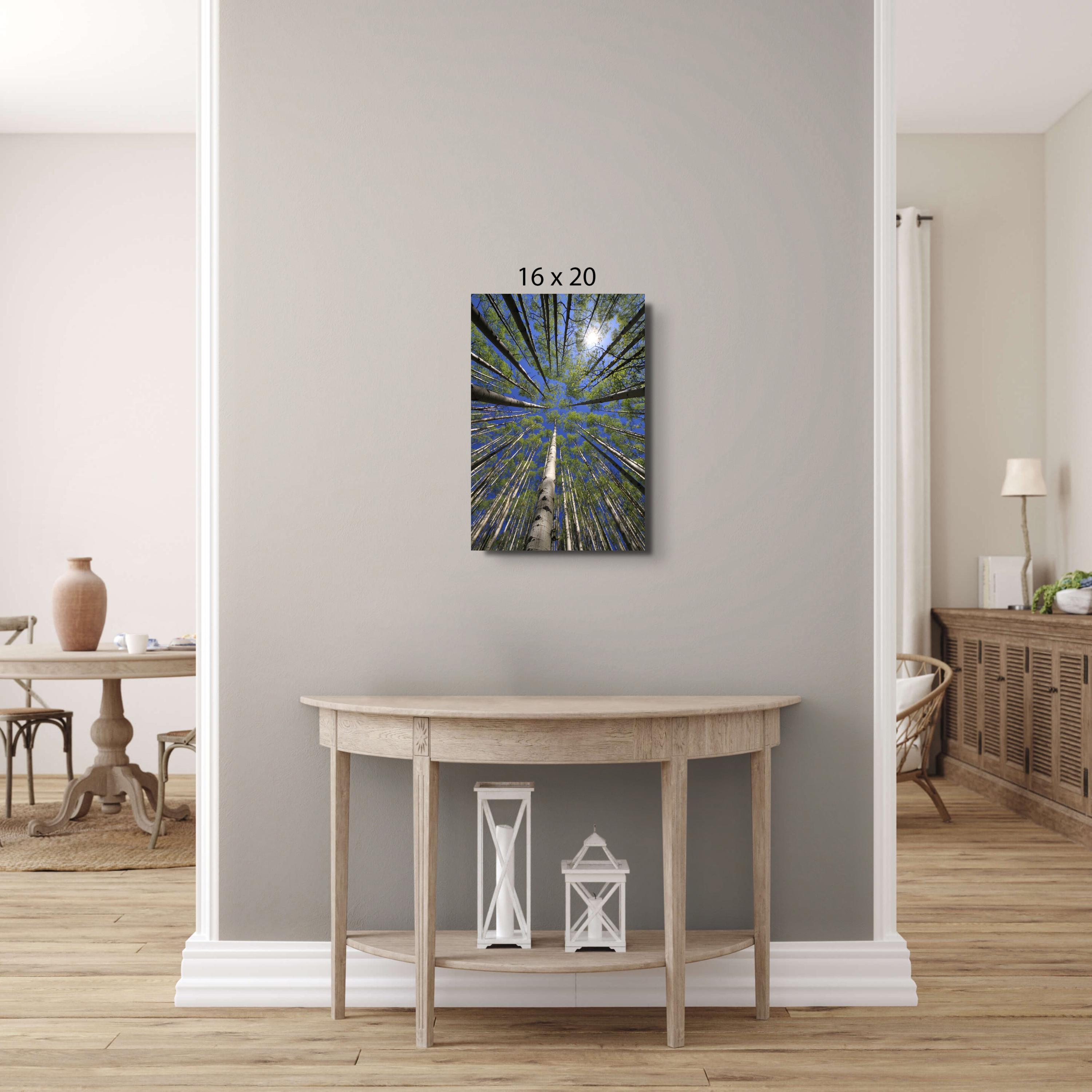 Colorado Aspens to the Sky Photo Art, Aspen Trees Colorado Photography ...