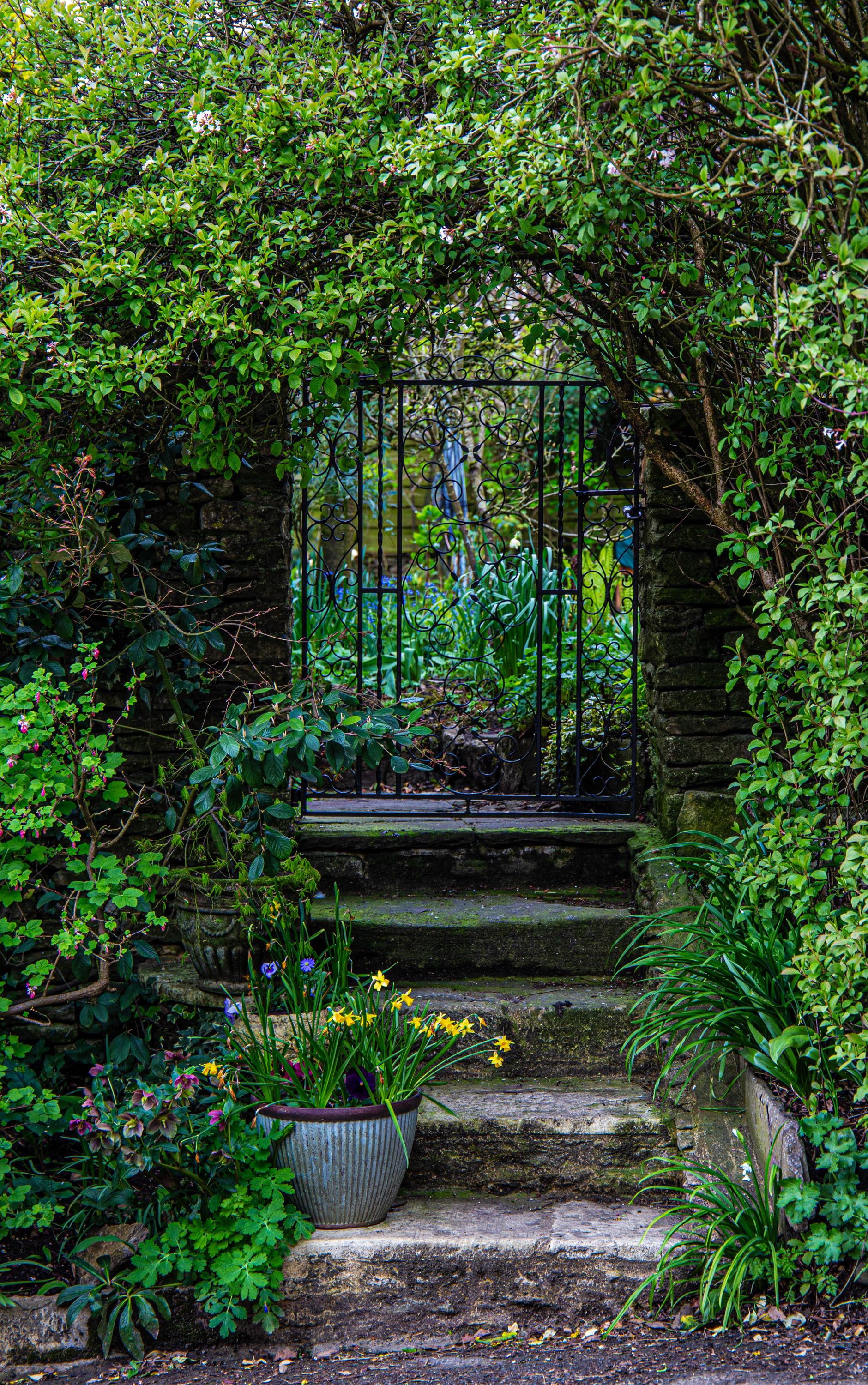 English Garden Gate Photo Art, Garden Gate, Green Garden Gate, Old ...
