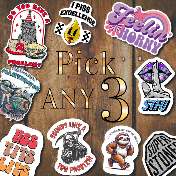 Funny Swear Word Stickers - Etsy