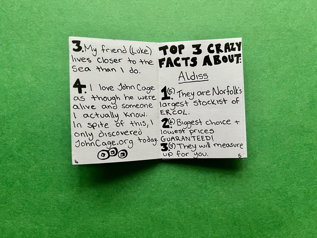 11 Facts Funny ZINE (mini) - Etsy