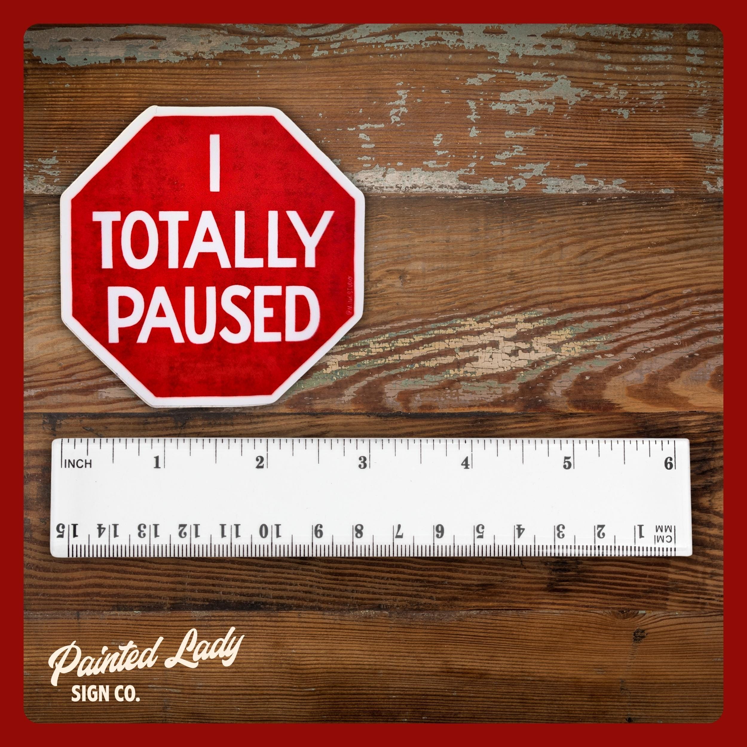 I Totally Paused | Hand Lettered Vinyl Sticker | Laptop, Car, Water ...