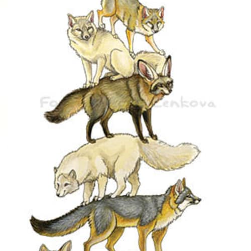 Fox Stack Painting Print Fox Art Wall Art Animal Stack - Etsy