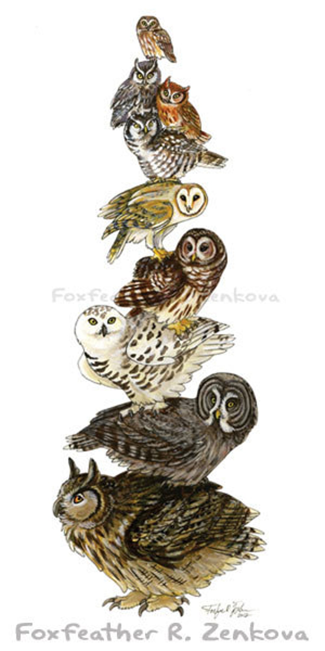Owl Stack Painting Print - Wall Art, Bird Stack, Barn Owl, Barred Owl ...