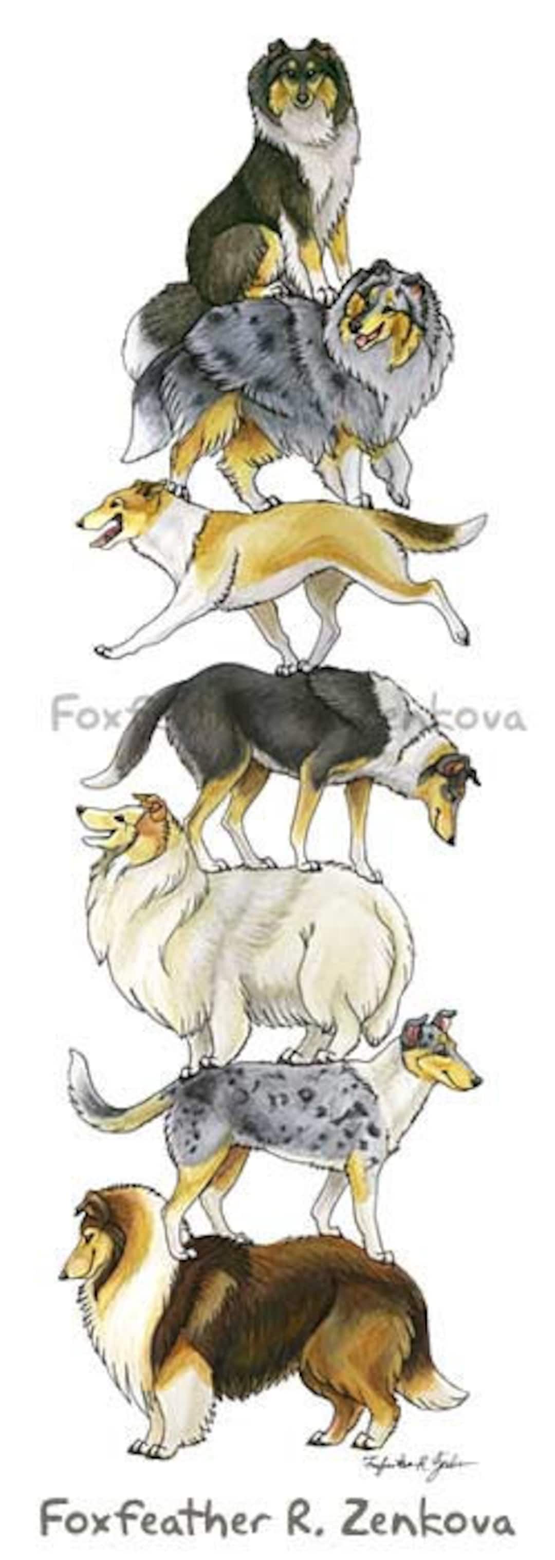 Collie Dog Stack Painting Print - Wall Art, Animal Stack, Totem ...