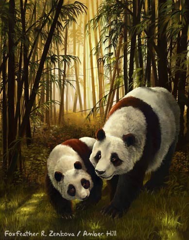 Walk in the Light - Giant Panda Painting Print - Panda Cub Mother Baby ...